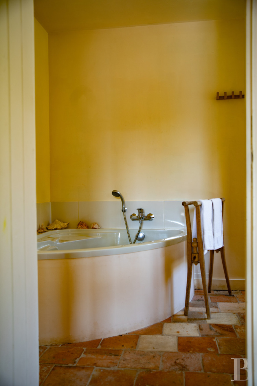 Patrice Besse - bed & breakfast - Centre region - A former château ...